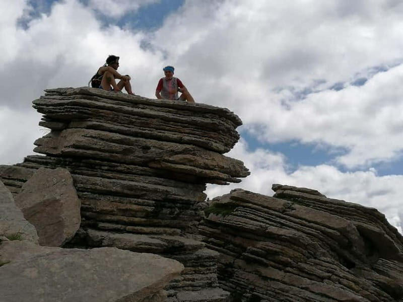 VENICE : DISCOVER WILD ANIMALS IN THE DOLOMITES - Wildlife Encounters: What Makes Them Special?