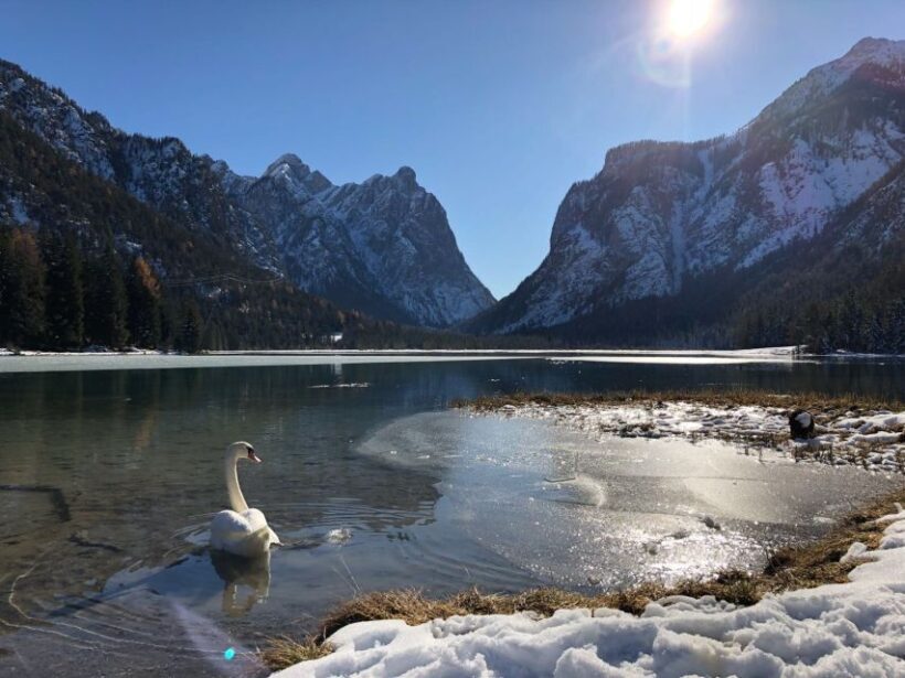 Venice: Dolomites & Cortina d'Ampezzo - Reviews and Feedback