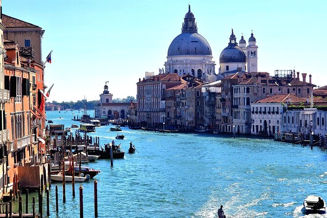 Venice Highlights Private Guided Walking Tour - Key Points