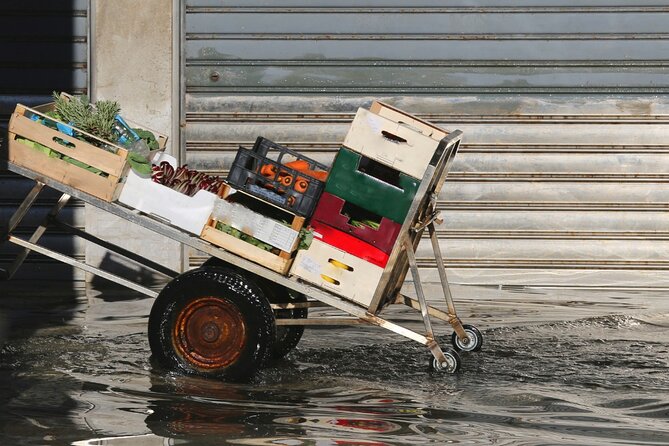 Venice Kickstart Private Tour - Experiencing the City Like a Local