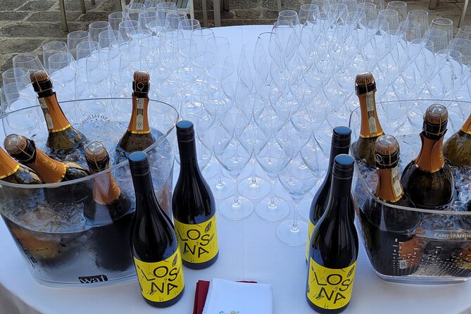 Venice Like a Local: Vini and Cichetti at Liuba and Hugos Home - Discovering Venetian Cichetti