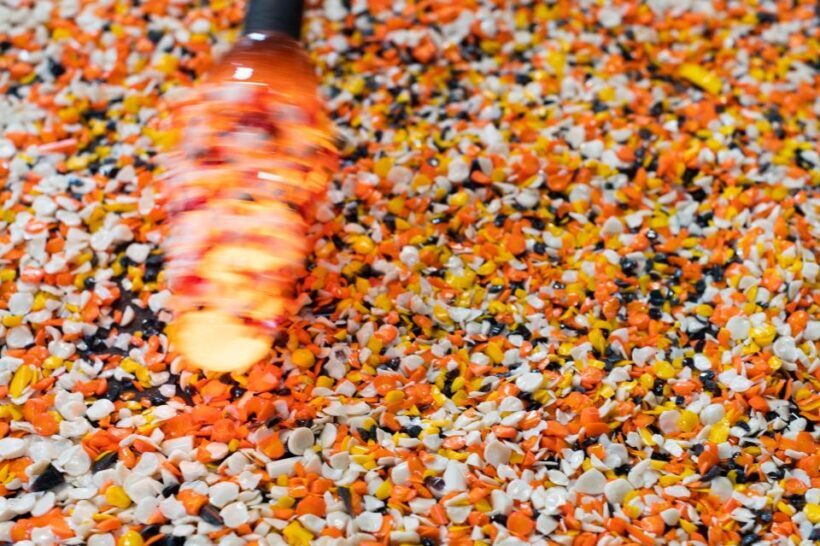 Venice: Murano & Burano Private Boat Tour with Hotel Pickup - Burano: A Colorful Escape