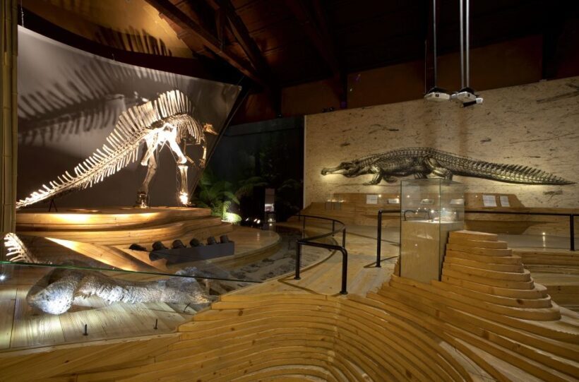 Venice: Natural History Museum Entry Ticket - Key Points