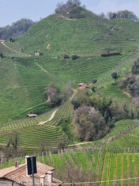 VENICE : PROSECCO Hills Tour With Tasting and Wine!! - Key Points