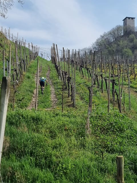 VENICE : PROSECCO Hills Tour With Tasting and Wine!! - Dress Code and Recommended Items