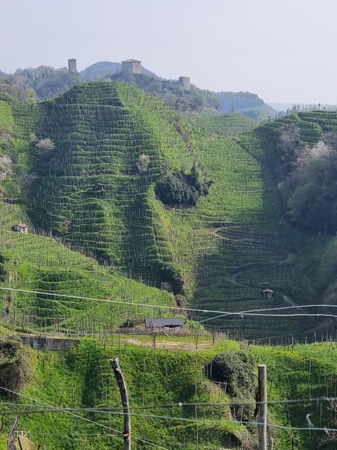 VENICE : PROSECCO Hills Tour With Tasting and Wine!! - Frequently Asked Questions