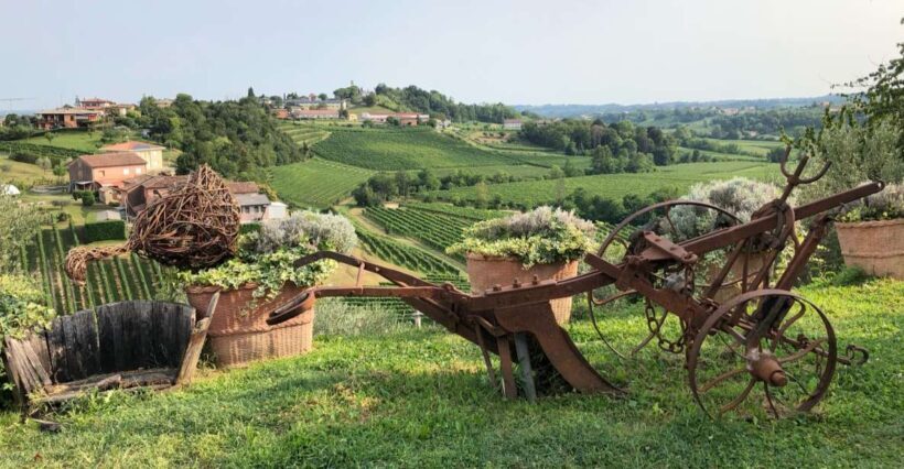 Venice: Prosecco Hills Wineries Tour with Tastings and Lunch - Key Points