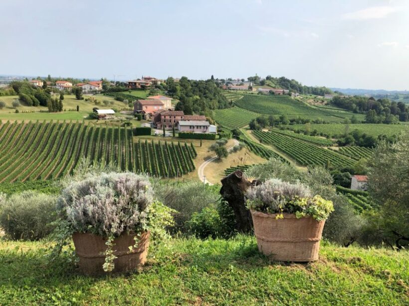 Venice: Prosecco Hills Wineries Tour with Tastings and Lunch - Reviews and Real Experiences