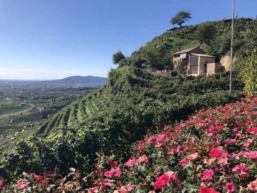 Venice: Prosecco Hills Wineries Tour with Tastings and Lunch - Who Will Love This Tour?