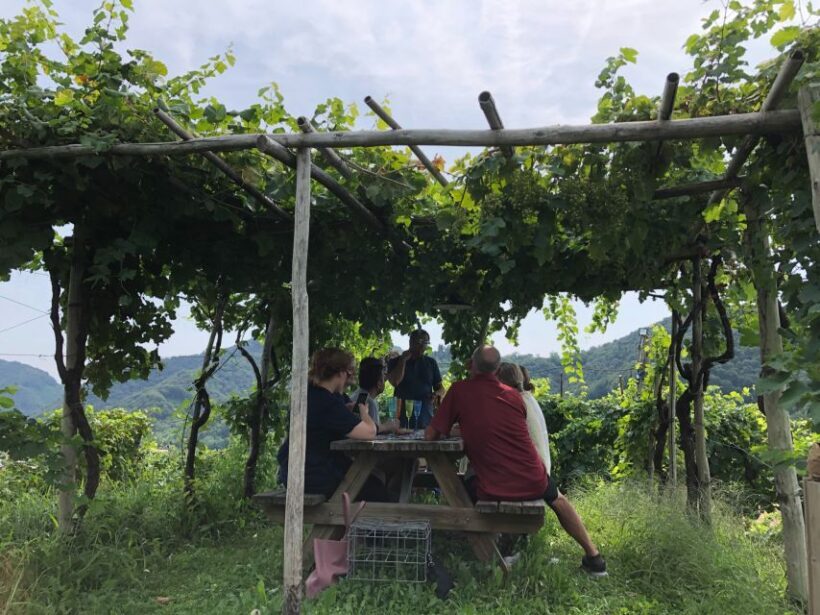 Venice: Prosecco Hills Wineries Tour with Tastings and Lunch - The Sum Up: Why This Tour is a Great Choice