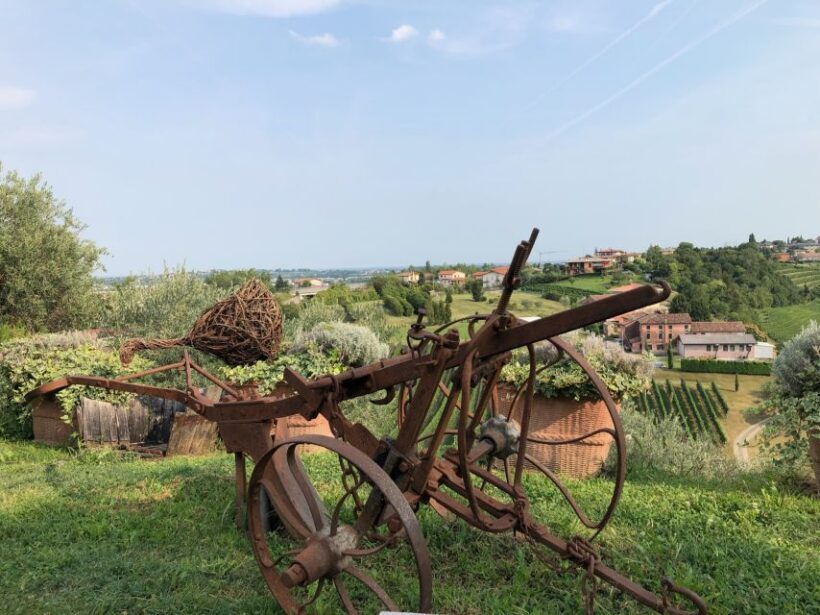 Venice: Prosecco Hills Wineries Tour with Tastings and Lunch - Frequently Asked Questions