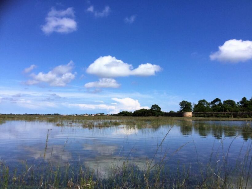 Venice: SantErasmo, Vignole, and Lagoon Kayaking Tour - Introduction to the Venice Lagoon Kayaking Tour