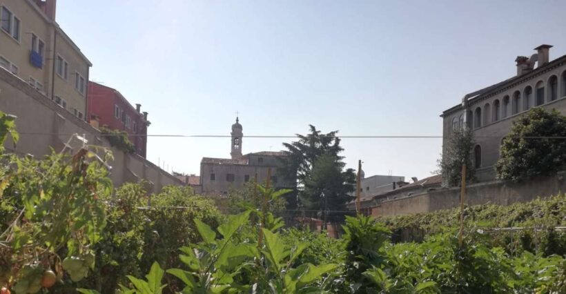 Venice: Secret City Gardens Walking Tour - A Close Look at the Experience