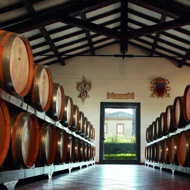 Venosa: Re Manfredi Winery Tour with Tastings - Exploring the Re Manfredi Winery: An In-Depth Look