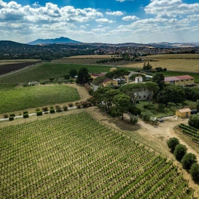 Venosa: Re Manfredi Winery Tour with Tastings - FAQs