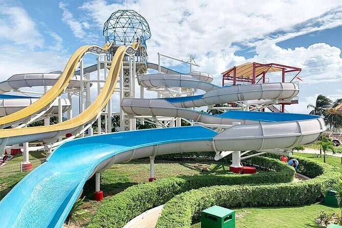 Ventura Dolphin - Frequently Asked Questions