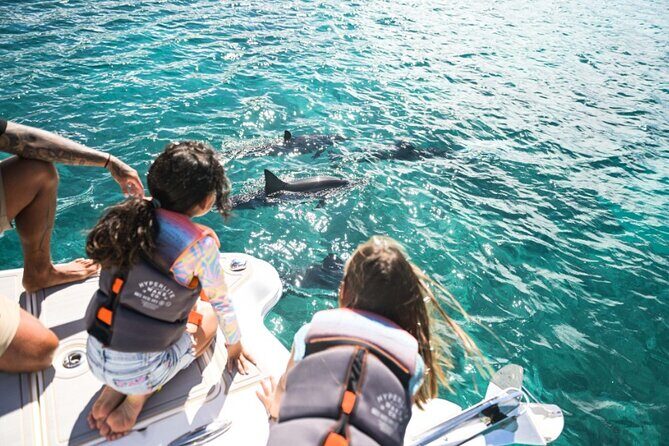 Venture Wildlife Snorkel Charter from Ko Olina - An In-Depth Look at the Venture Wildlife Snorkel Charter