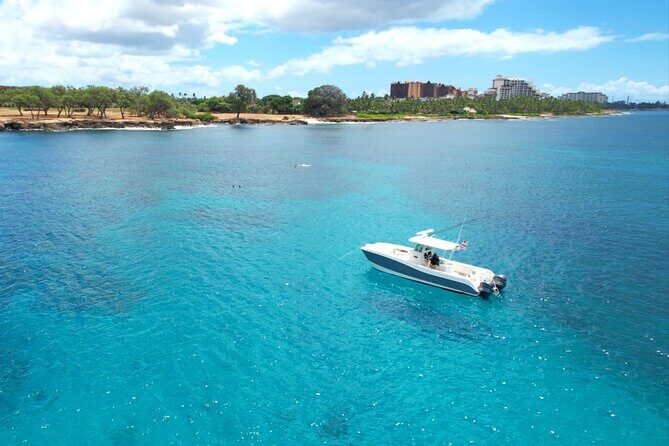 Venture Wildlife Snorkel Charter from Ko Olina - To sum it up