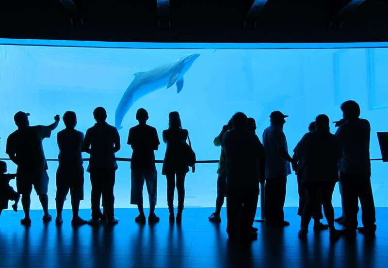 Veracruz: Panoramic Sightseeing City Tour and Aquarium - The Experience: A Closer Look at What You Get