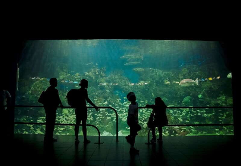 Veracruz: Panoramic Sightseeing City Tour and Aquarium - Final Words