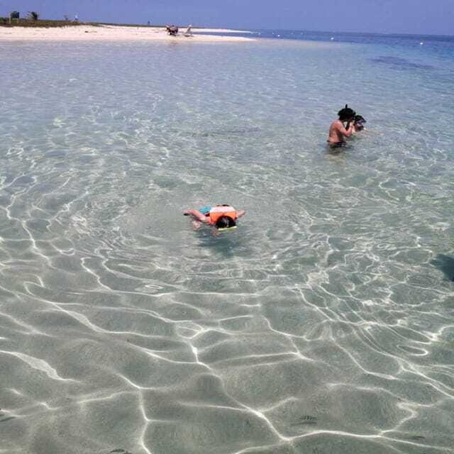 Veracruz: Snorkeling Adventure at Isla de En Medio - Practical Details and Tips