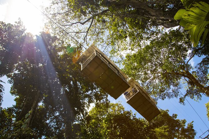 Veragua Rainforest Walk, Tram & Tortuguero Boat Tour. Limon Shore Excursion - Physical Fitness and Weather Considerations