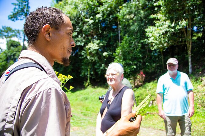 Veragua Rainforest Walk, Tram & Tortuguero Boat Tour. Limon Shore Excursion - Positive Customer Experiences