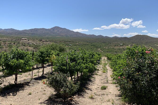 Verde Valley Wineries and Sedona Red Rocks Private Day Tour - What We Think About the Price and Value
