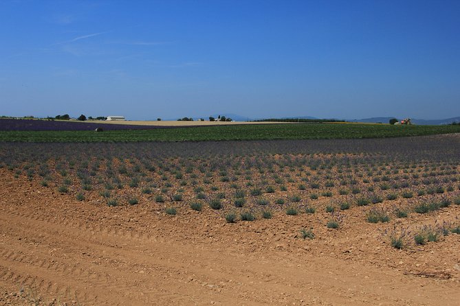 Verdon and Moustiers Ste-Marie Tour Review - Safety and Accessibility