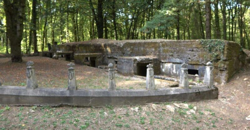 Verdun: 1916 Hell of the Battle - Value and Practicality