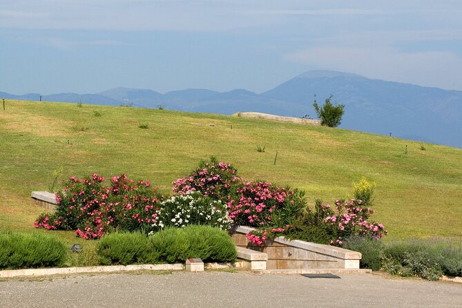 Vergina and Veria Half-Day Tour From Thessaloniki - Key Sites in Vergina