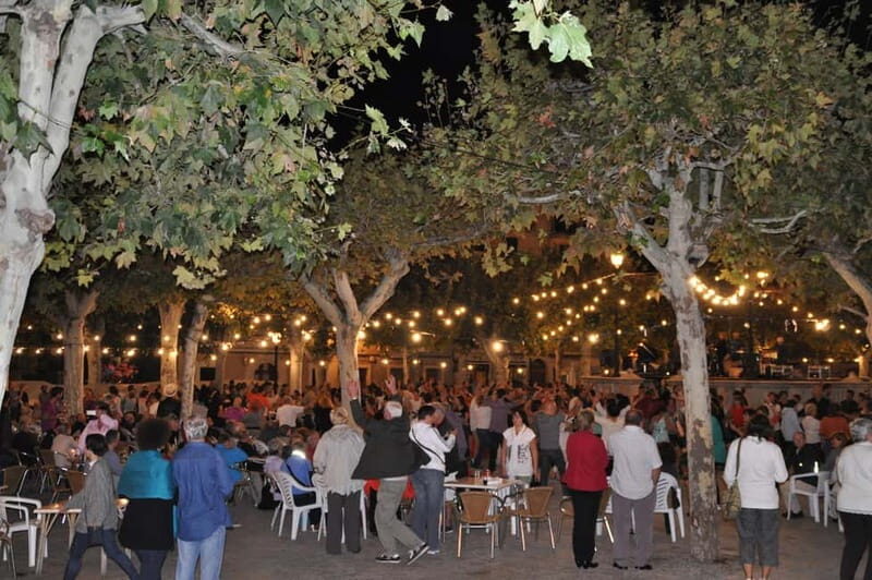 Vermar Wine Festival in Binissalem - Practical Details and Considerations