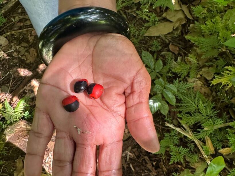 Vermont Nature Trail and Bird Watching Tour - Why This Tour Is Worth Considering