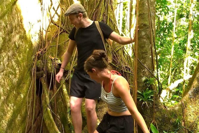 Vermont Nature Trail Tour with Fraser's Taxi and Tours - Practical Tips for Travelers