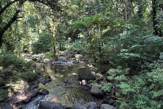 Vermont Nature Trail with Topdawg Taxi and Tours - The Sum Up