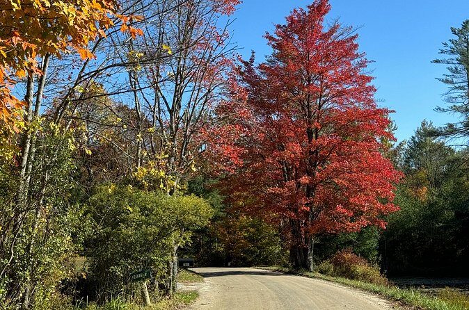 Vermont Wayfinders Fall Foliage Private Tour - The Value of a Private Tour