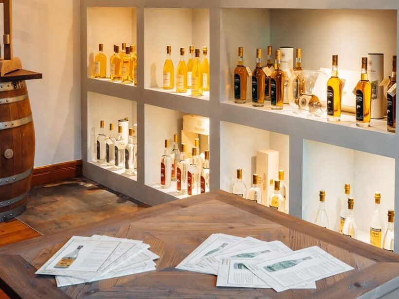 Vermouth and Spirits Tasting in a Distillery near Turin - Who Will Love This Experience?