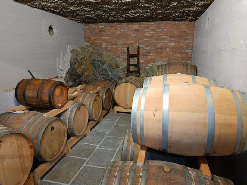 Vermouth and Spirits Tasting in a Distillery near Turin - The Sum Up