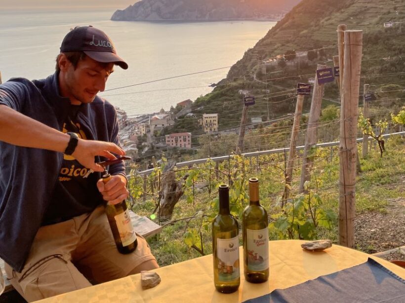 Vernazza: Panoramic Vineyard Trekking Tour w/ Wine Tasting - The Wine Tasting and Snacks