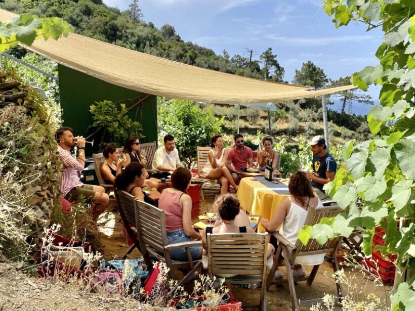 Vernazza: Panoramic Vineyard Trekking Tour w/ Wine Tasting - Price and Value