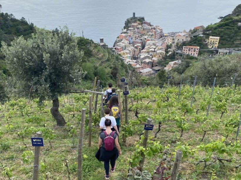 Vernazza: Panoramic Vineyard Trekking Tour w/ Wine Tasting - Final Thoughts