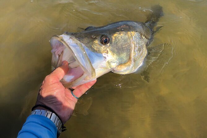 Vero Beach Inshore Fishing Guide Service - Final Thoughts