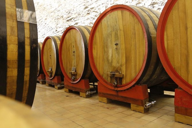 Verona art city, Valpolicella wine tasting full day private tour - Who Will Love This Tour?