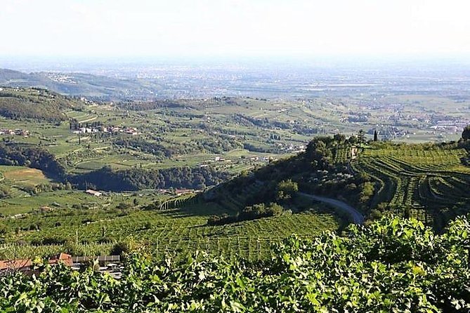 Verona art city, Valpolicella wine tasting full day private tour - FAQ
