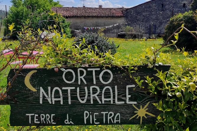 Verona - Cellar Tour and Tasting of NATURAL WINES - Discovering the Cellar and Production Process