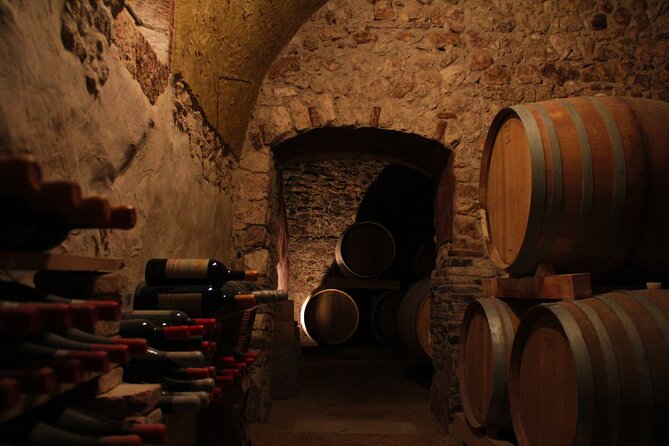 Verona - Cellar Tour and Tasting of NATURAL WINES - Tasting the Natural Wines