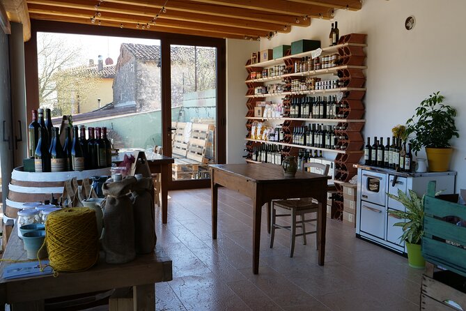 Verona - Cellar Tour and Tasting of NATURAL WINES - Accessibility and Participation Guidelines