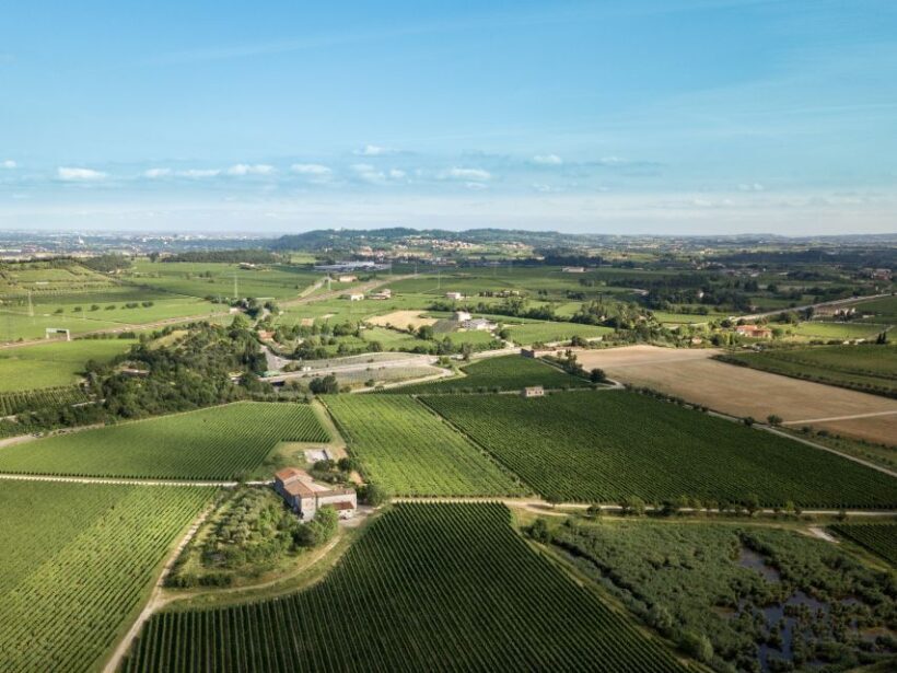 Verona: Custoza E-bike Tour - Verona: Custoza E-bike Tour — A Practical, Authentic Escape into Wine Country