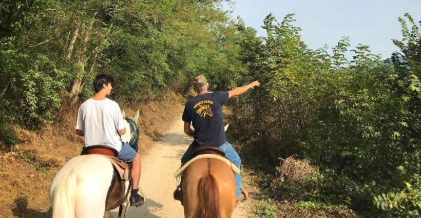 Verona: Horseback Riding and Wine Tasting Experience - Key Points