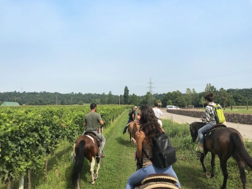 Verona: Horseback Riding and Wine Tasting Experience - Who Should Consider This Tour?